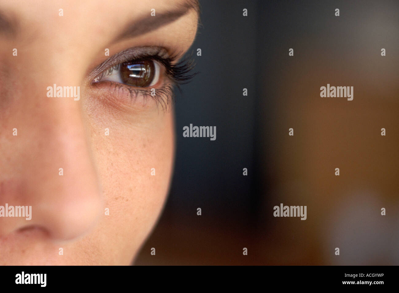 Close up on woman s eye and nose Stock Photo - Alamy