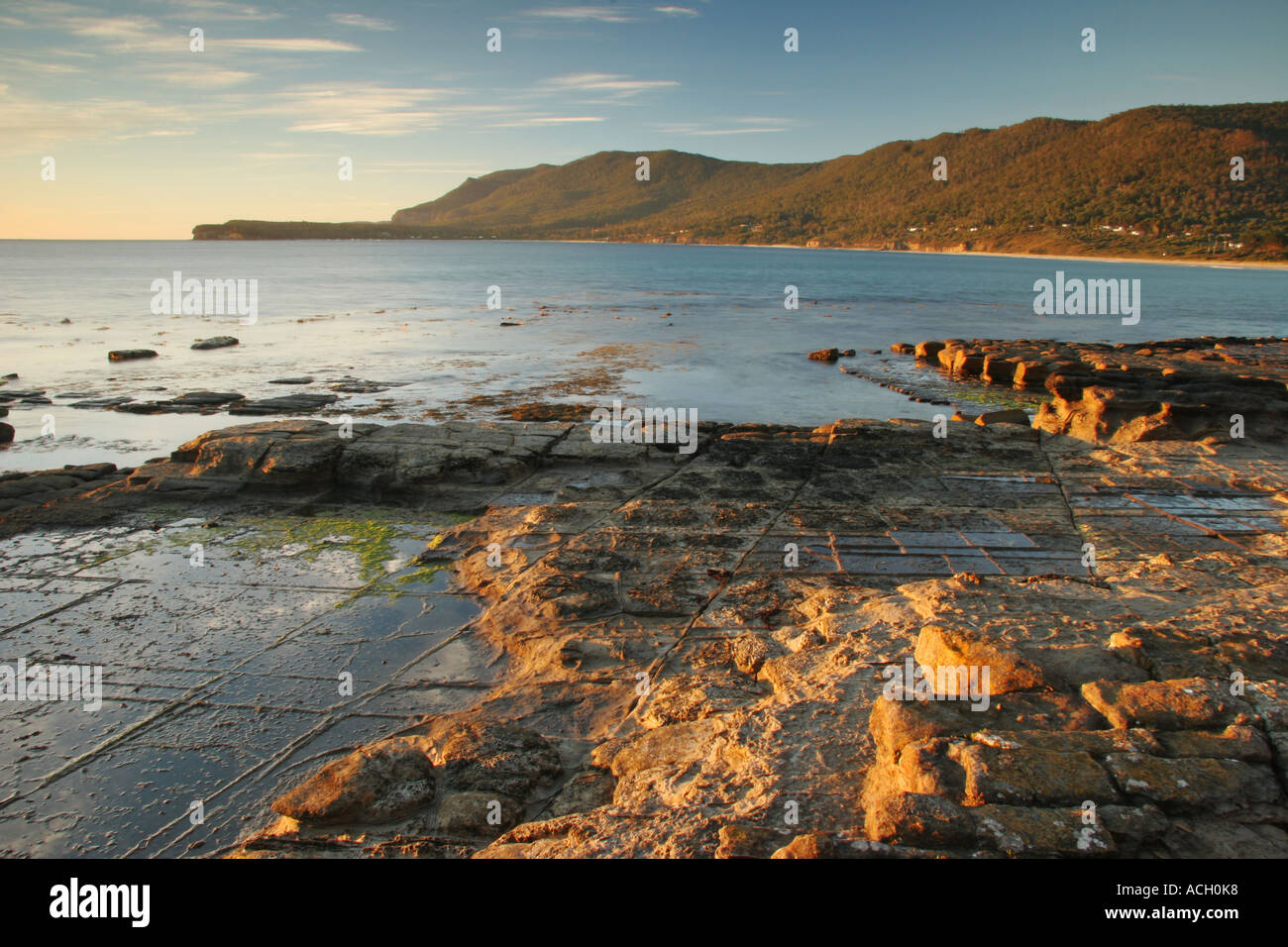The Tessellated Pavements a geological formation on the Tasman ...
