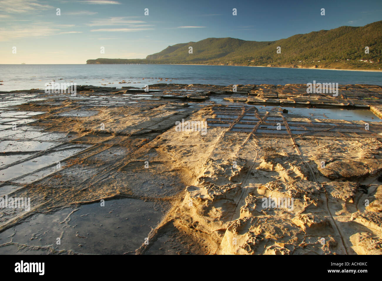 The Tessellated Pavements a geological formation on the Tasman ...