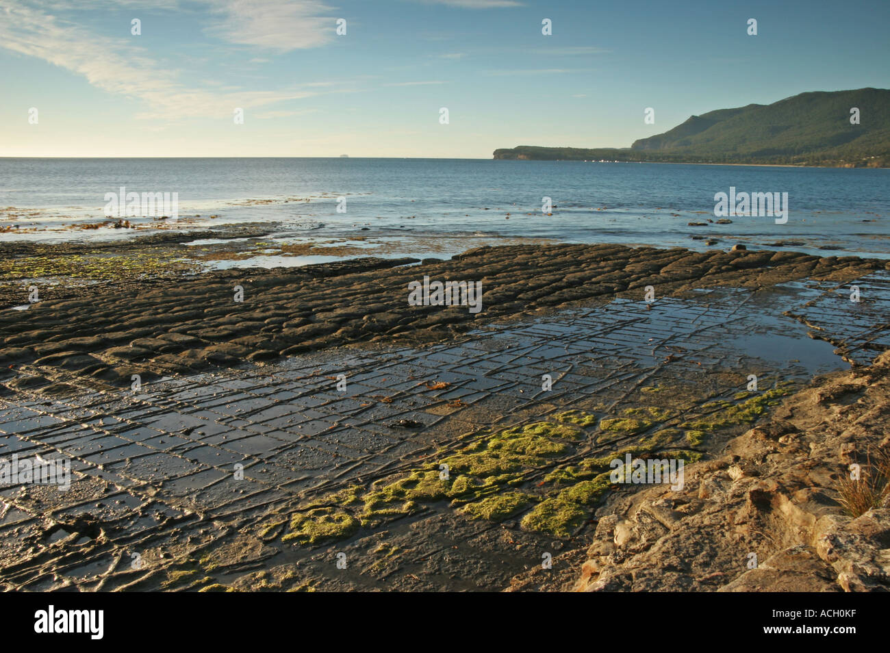 The Tessellated Pavements a geological formation on the Tasman ...