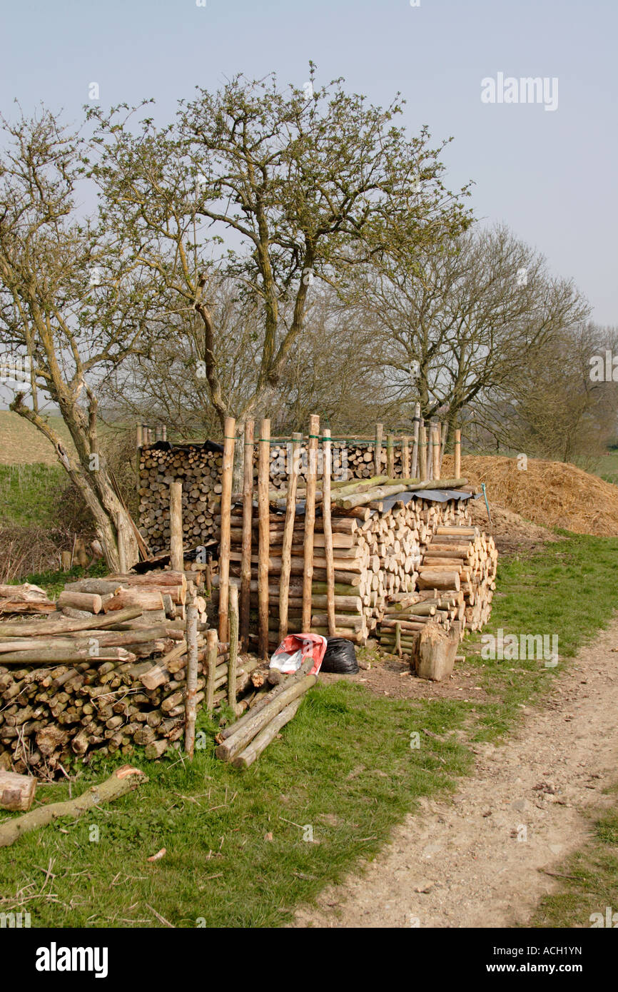 Logs piled along country track, Buckinghamshire, England, UK Stock ...
