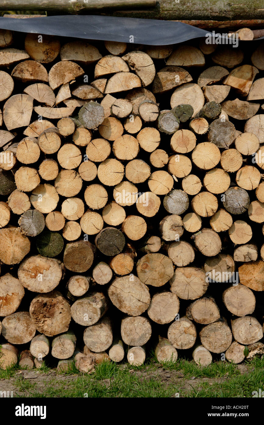 Log piles close up Stock Photo - Alamy Log piles close up Stock Photo - Alamy
