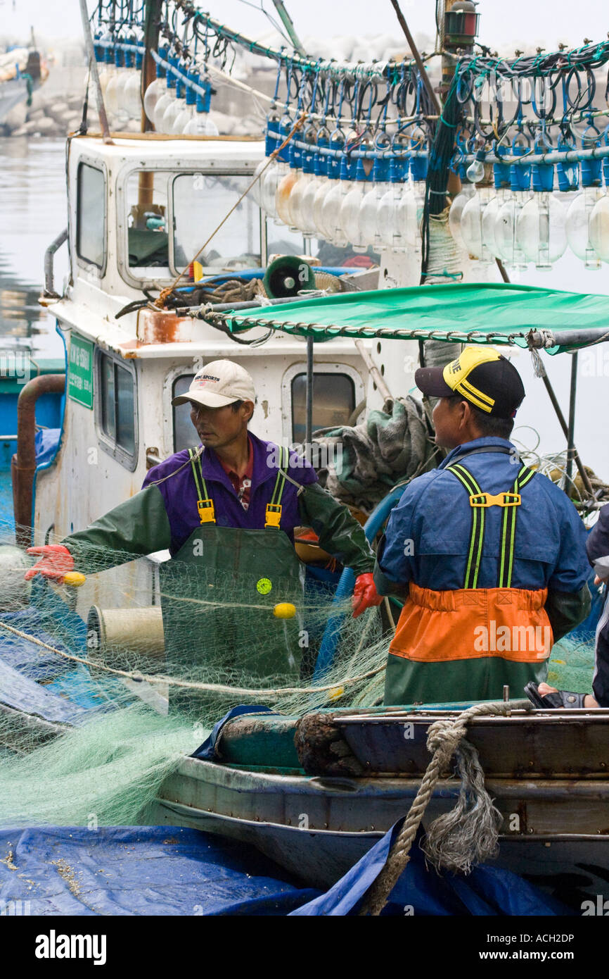 Pulling Nets and Removing Squid on Piers Cheongjin Fishing Village near ...