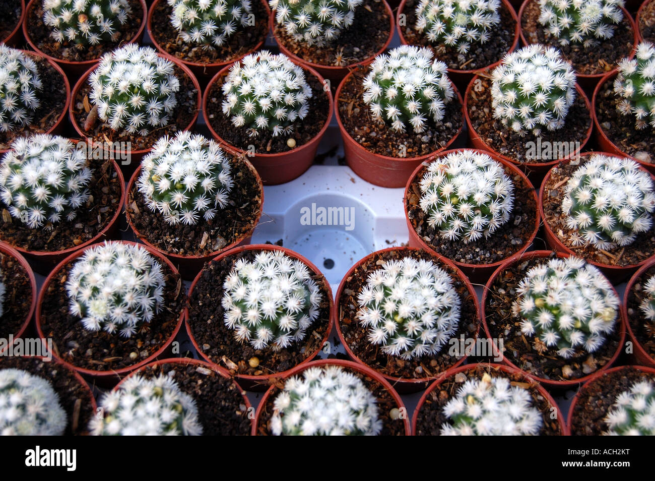 Middle core hi-res stock photography and images - Alamy