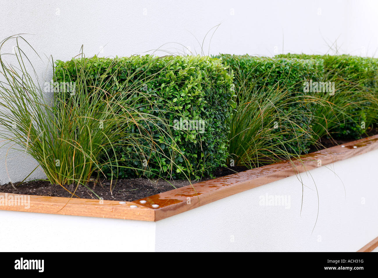 Garden flower bed designs hi-res stock photography and images - Alamy