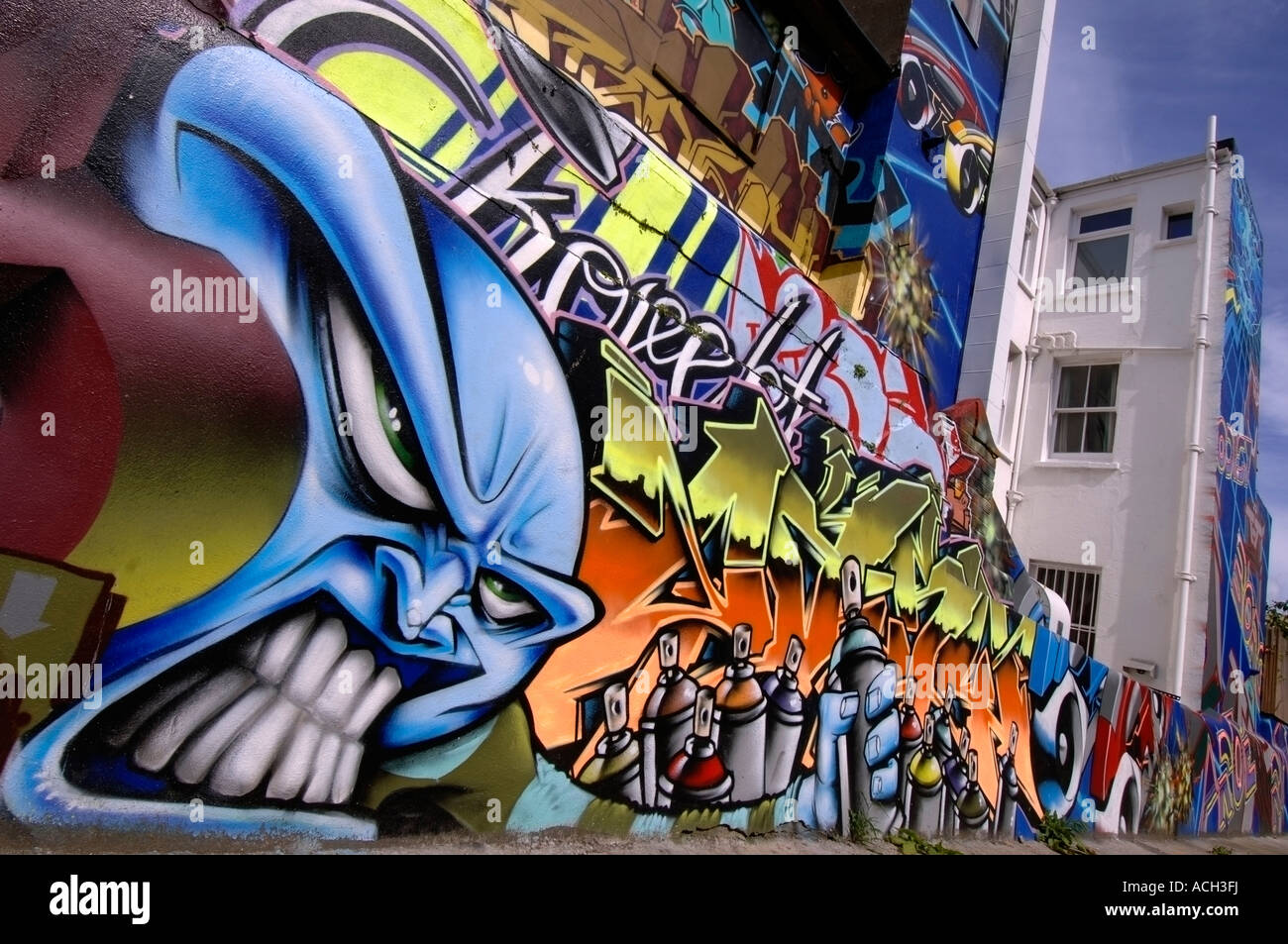 Graffiti decorates the backs of Victorian terraced houses in Robert ...