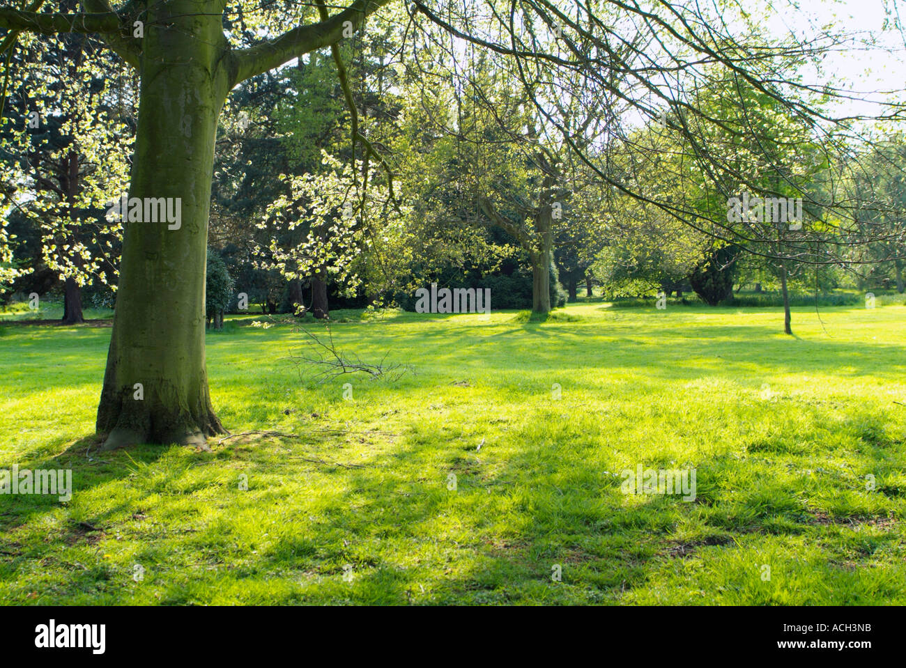 Surrey in colour hi-res stock photography and images - Alamy