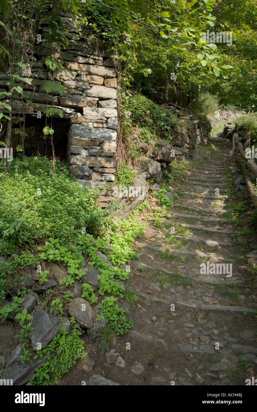 Steps of woodland path next to abandoned stone dwelling, Savogno ...