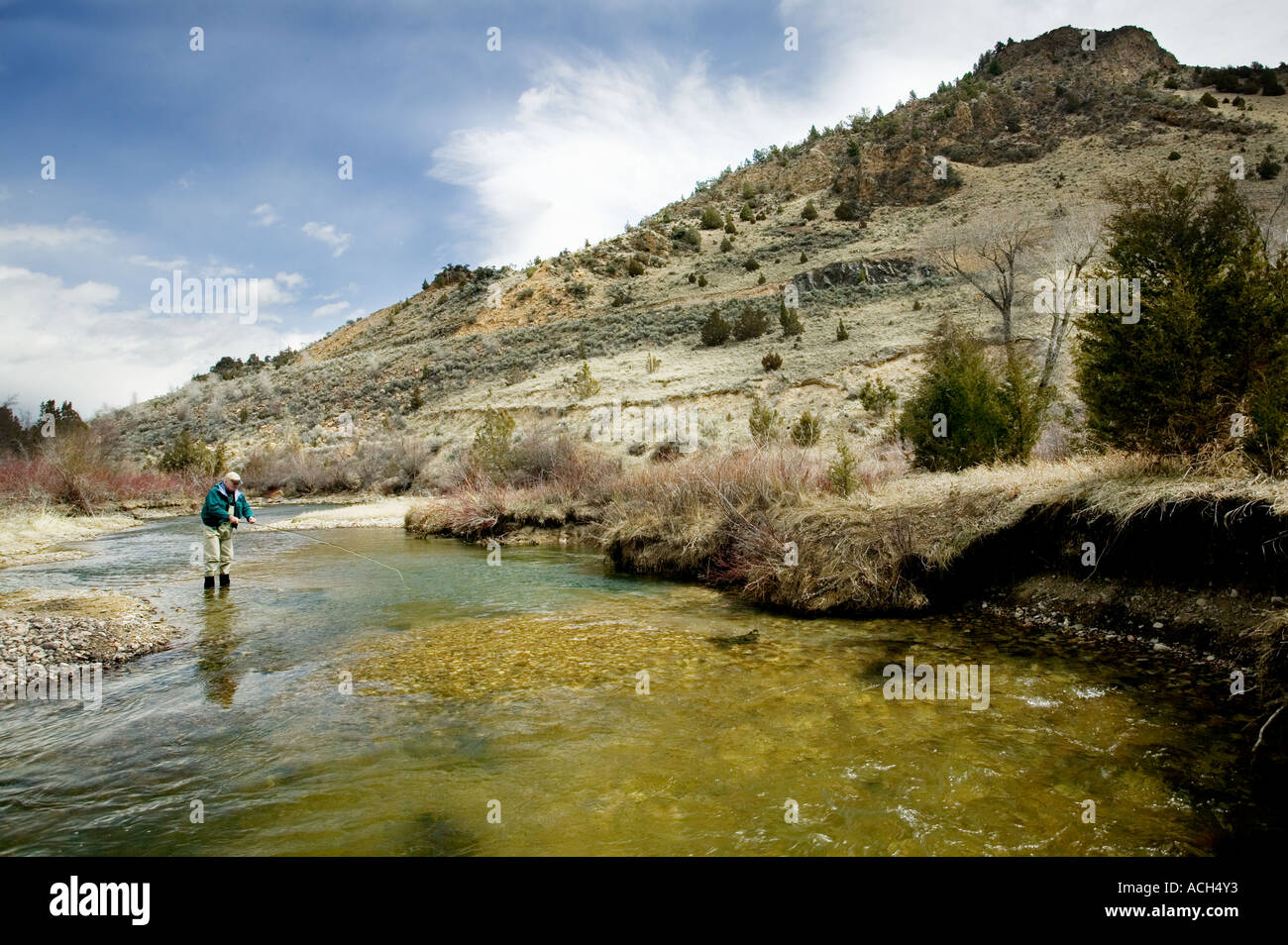 Man flyfishing the Beaverhead river in Montana U.S.A Stock Photo - Alamy