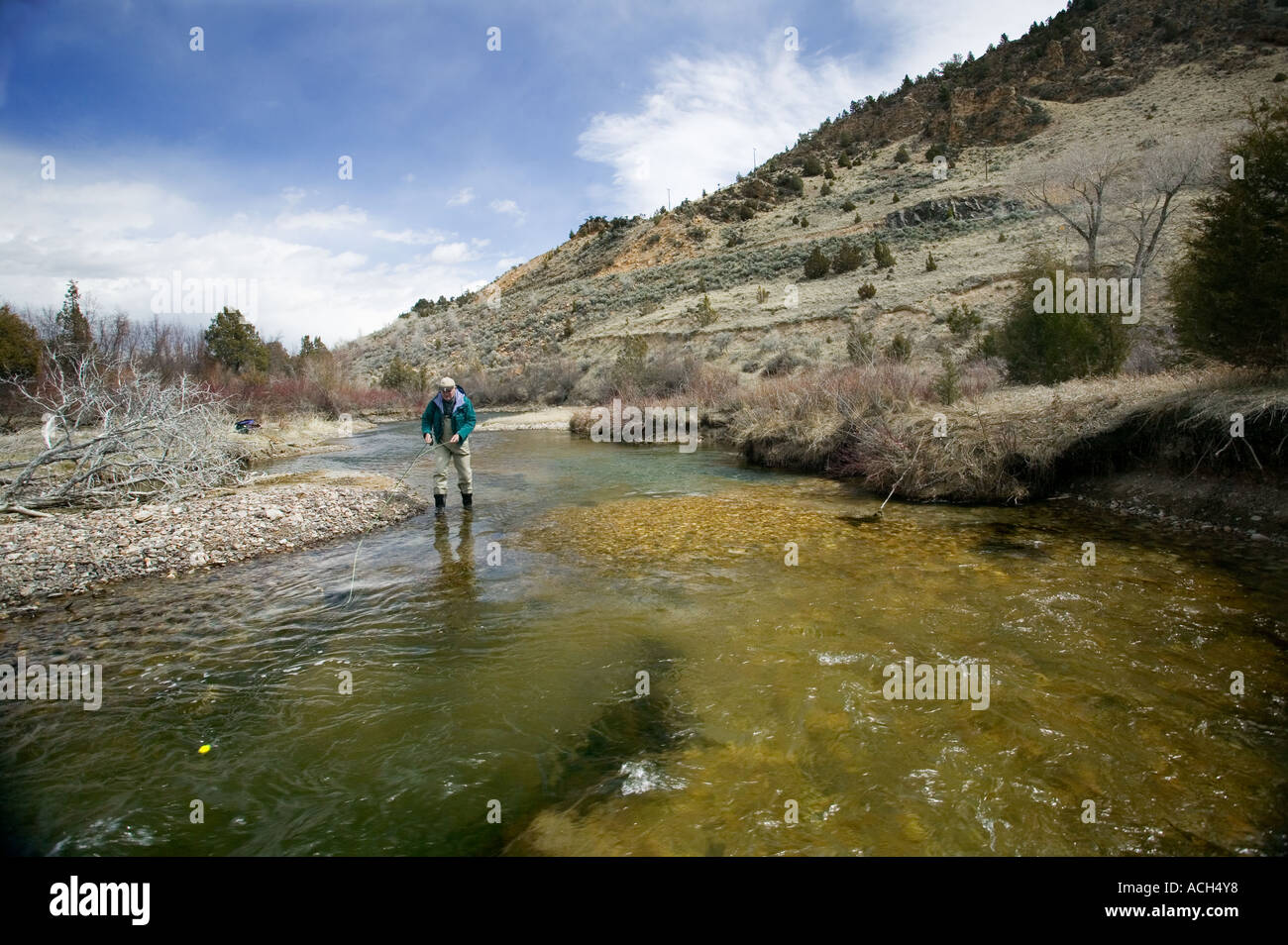 Man flyfishing the Beaverhead river in Montana U.S.A Stock Photo - Alamy