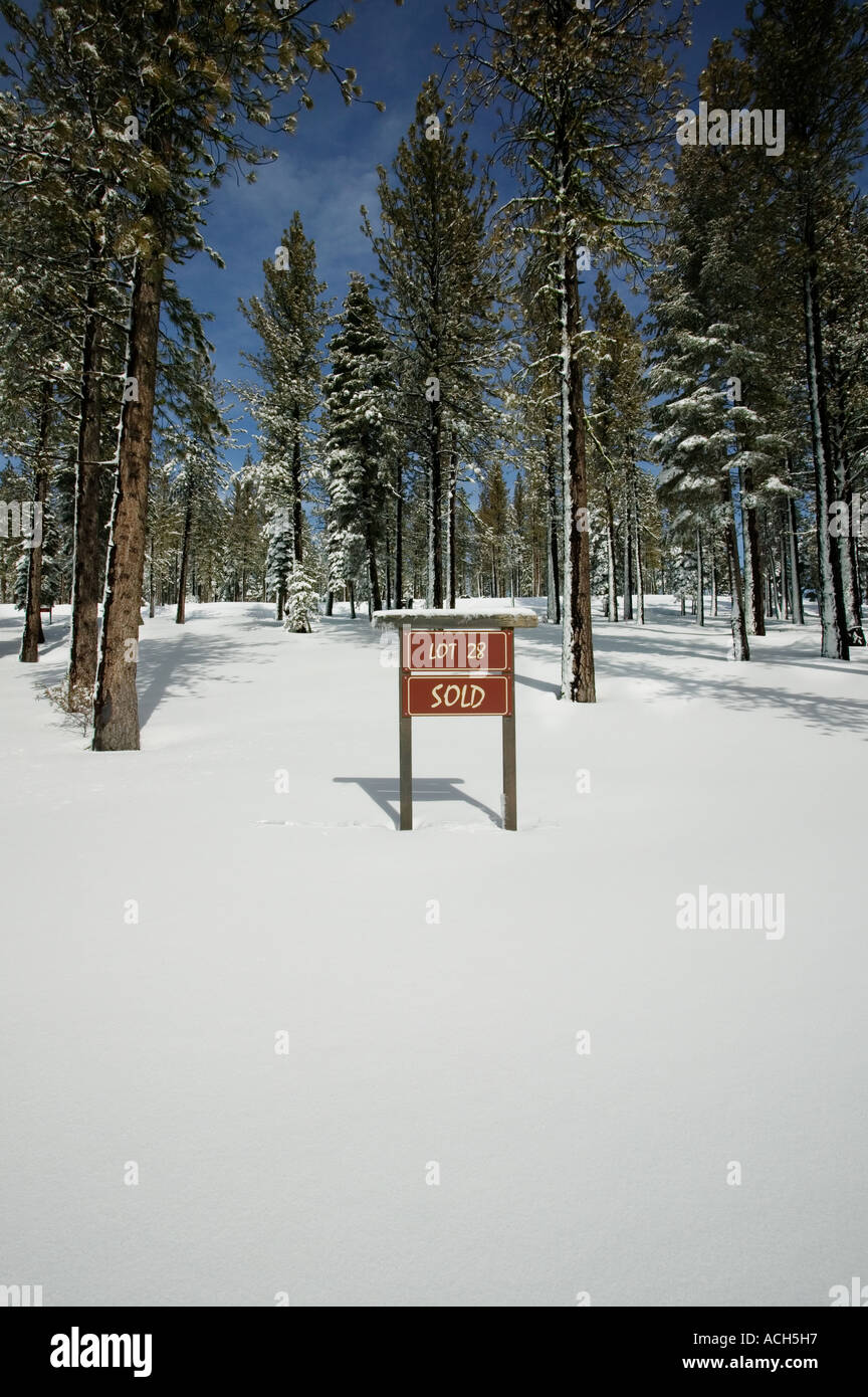 Empty lot with “for sale” sign Stock Photo - Alamy