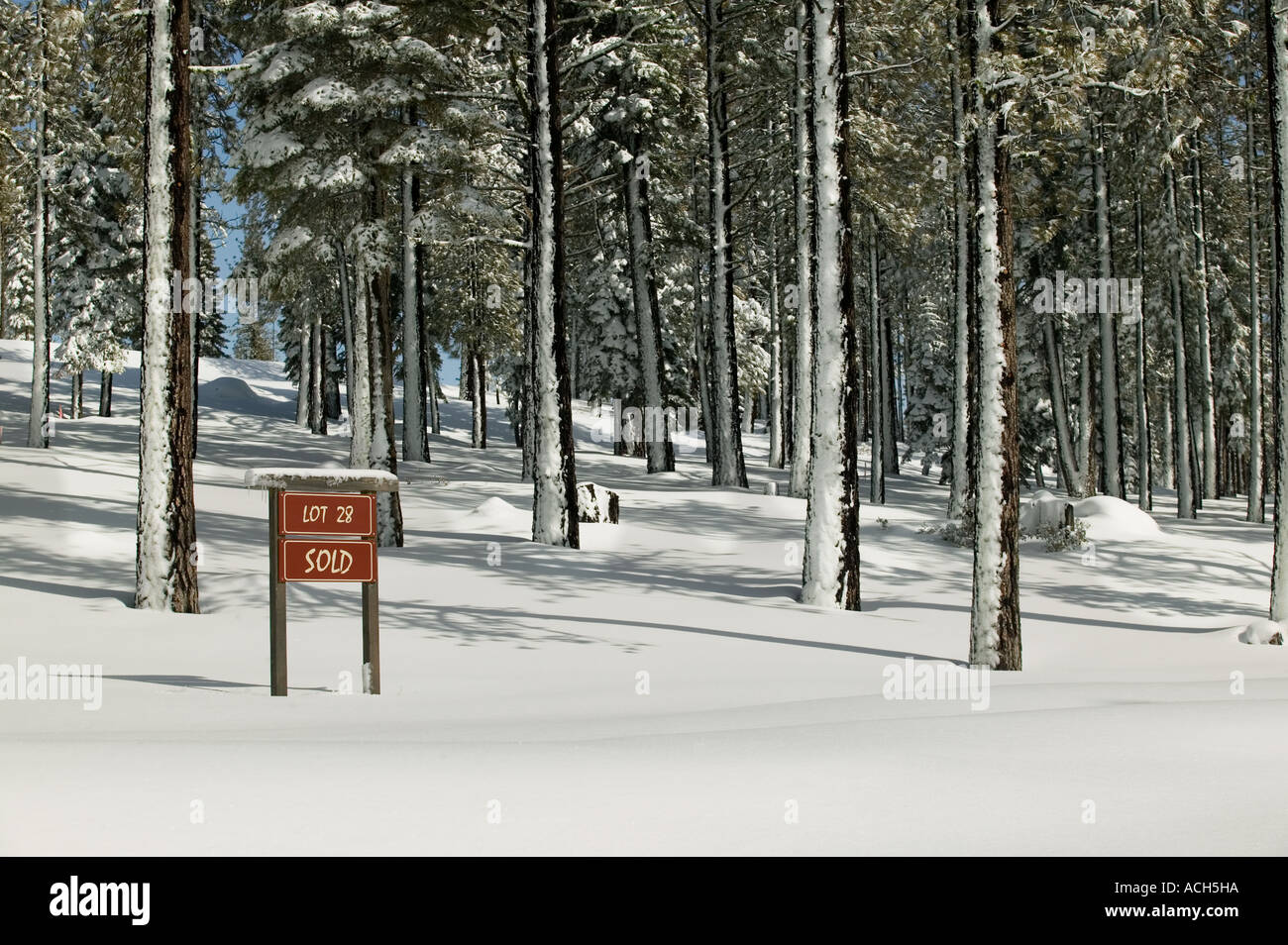 Empty lot sale sign hi-res stock photography and images - Alamy