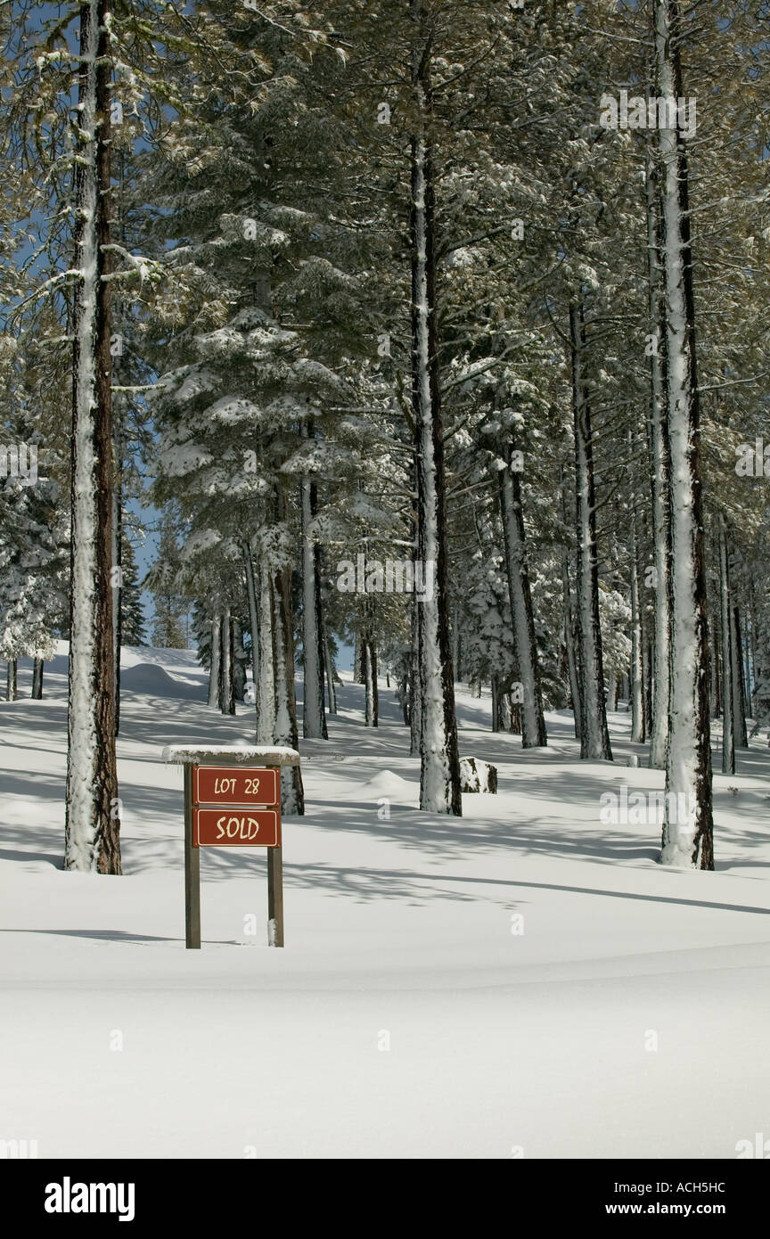 Empty lot with “for sale” sign Stock Photo - Alamy