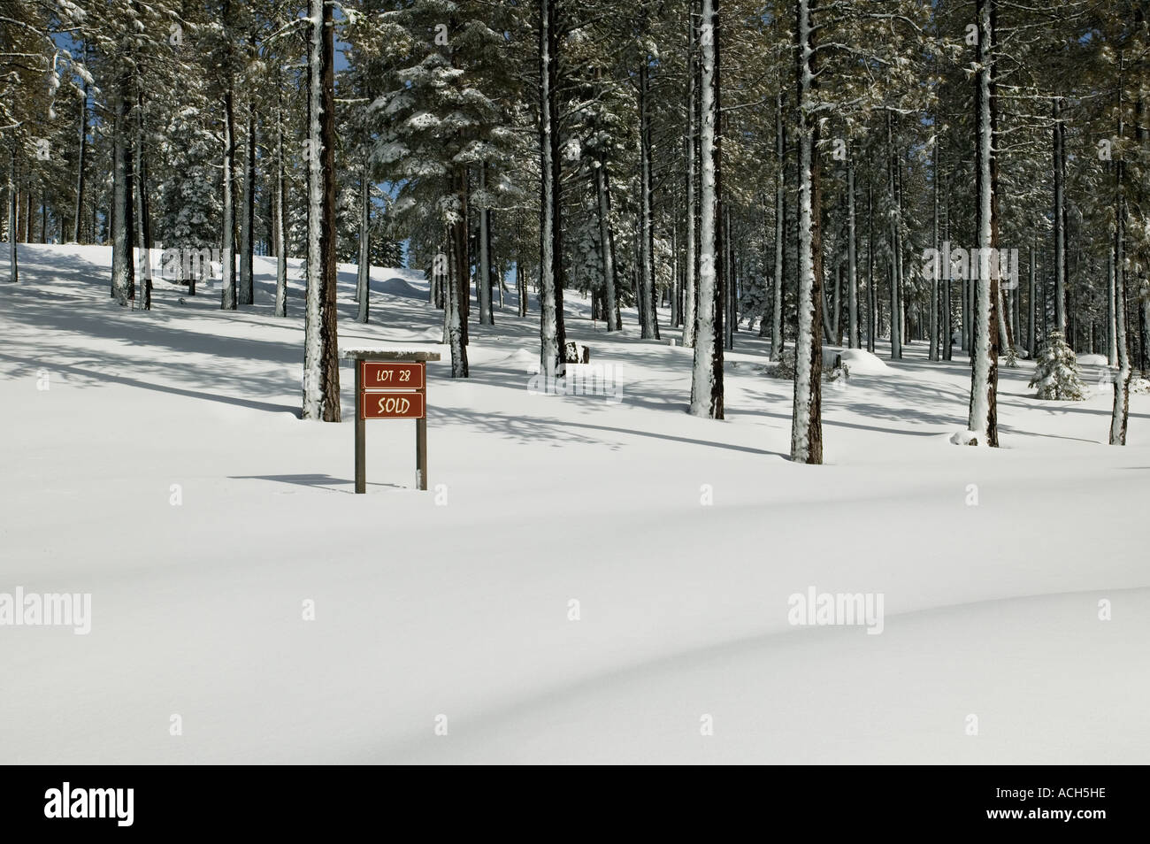 Empty lot sale sign hi-res stock photography and images - Alamy