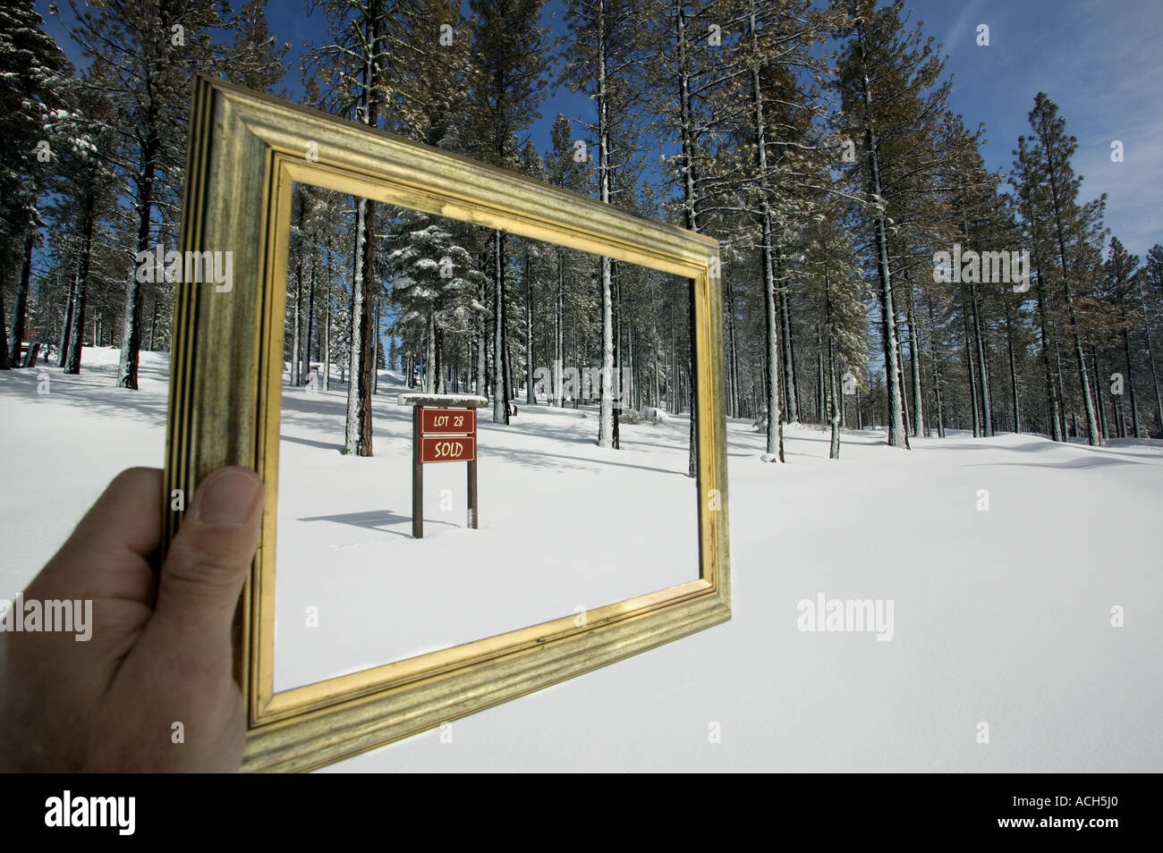Empty lot with “for sale” sign Stock Photo - Alamy