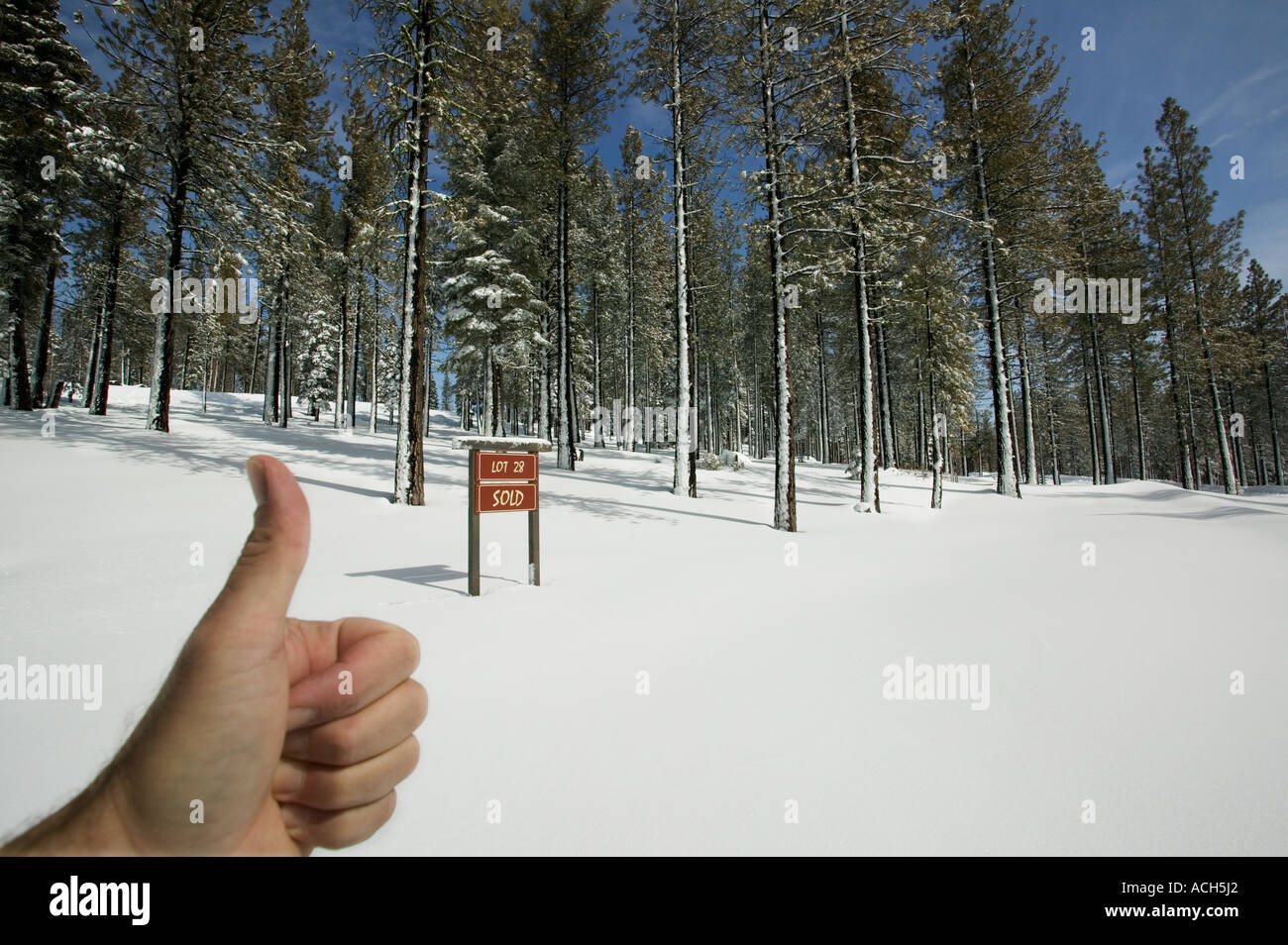 Empty lot sale sign hi-res stock photography and images - Alamy