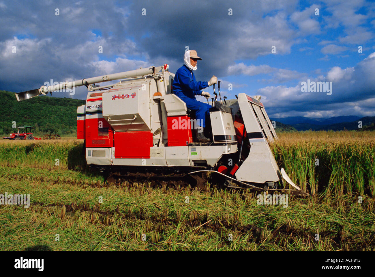 Rice farming japan hi-res stock photography and images - Alamy