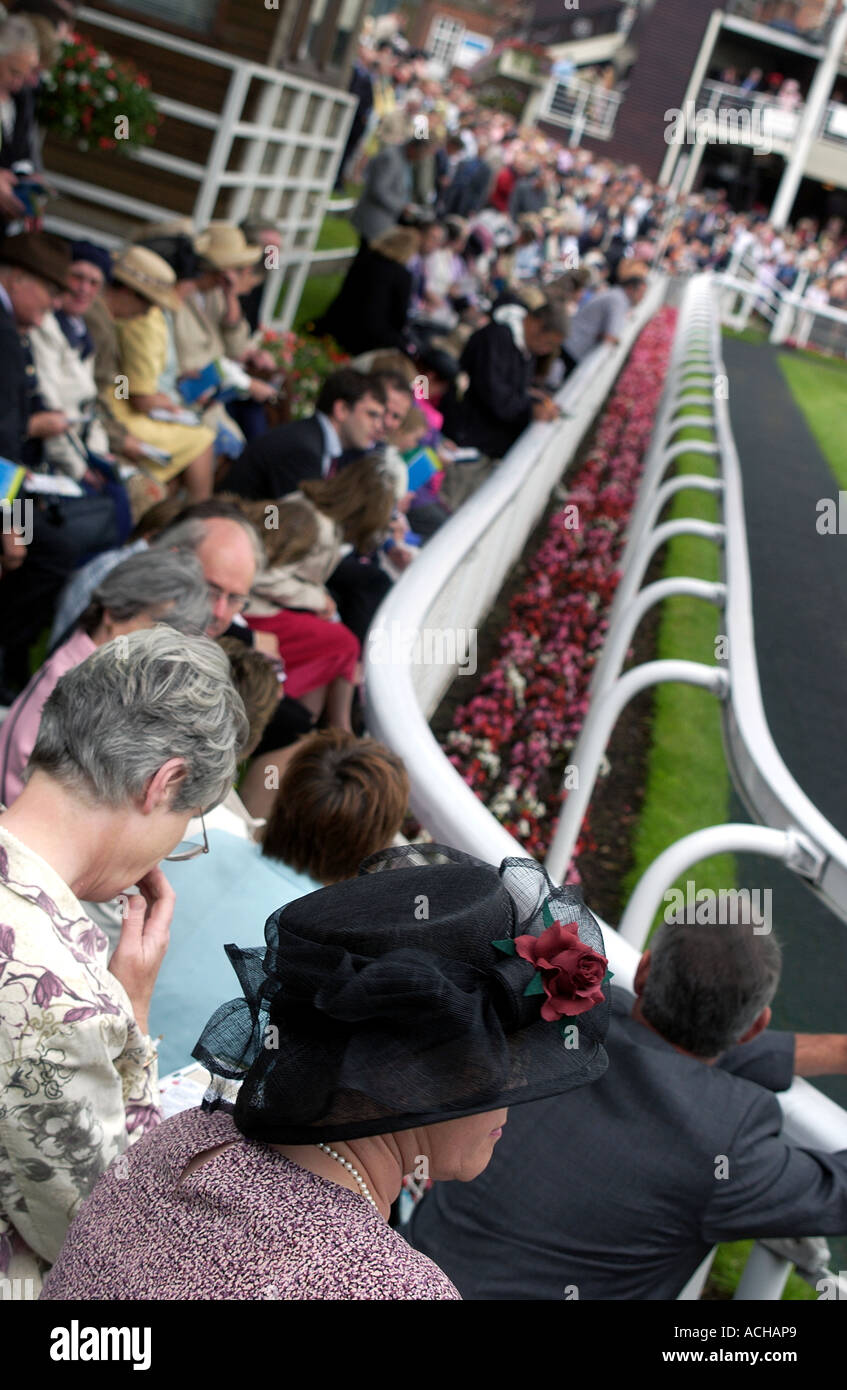 Horse racing races day second 2 hi-res stock photography and images - Alamy