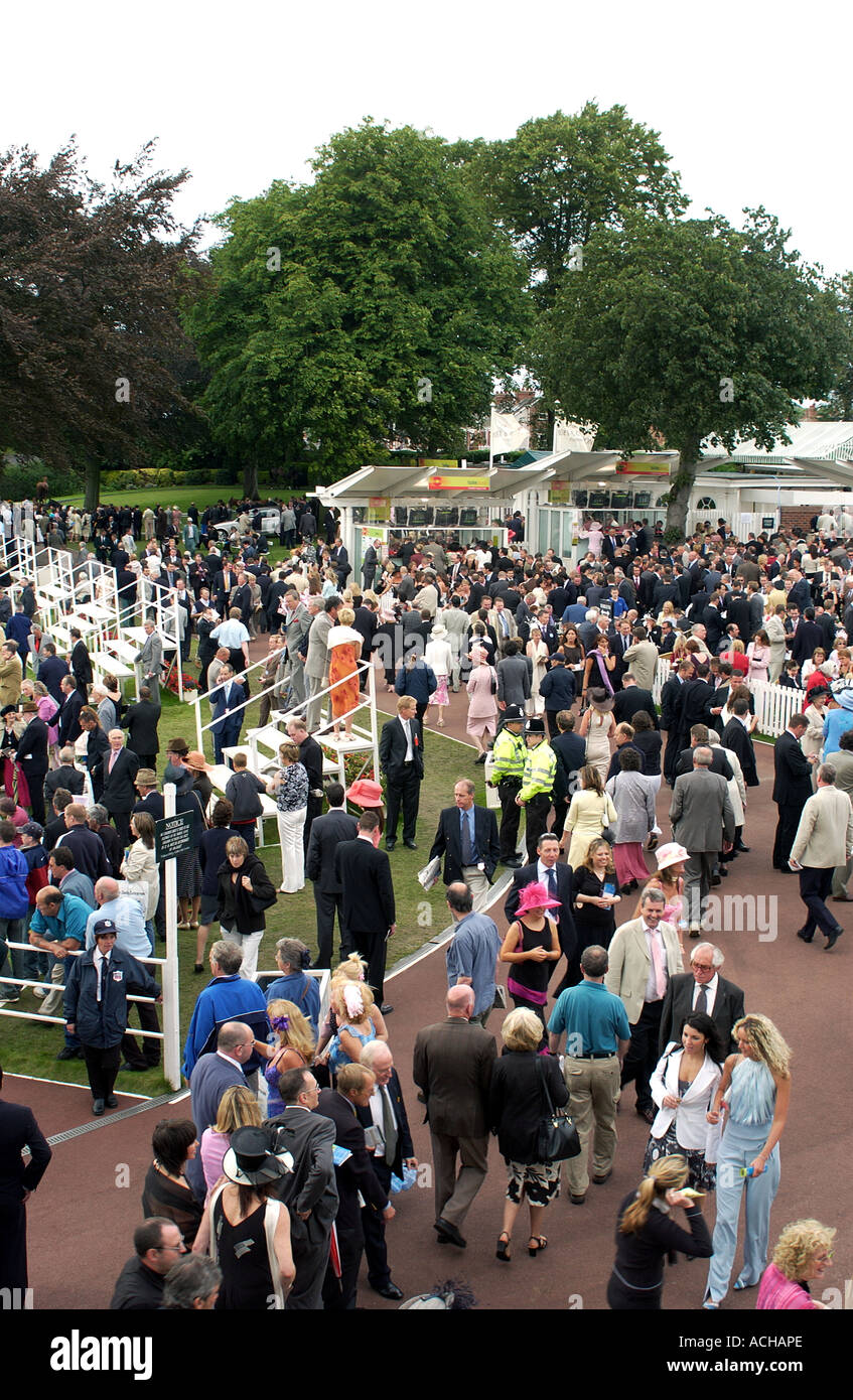 Bookies stand hi-res stock photography and images - Alamy