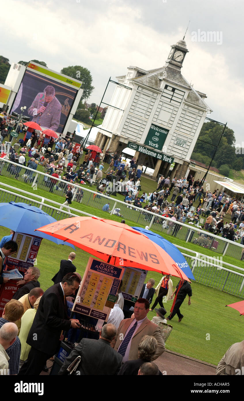 Raceboard hi-res stock photography and images - Alamy