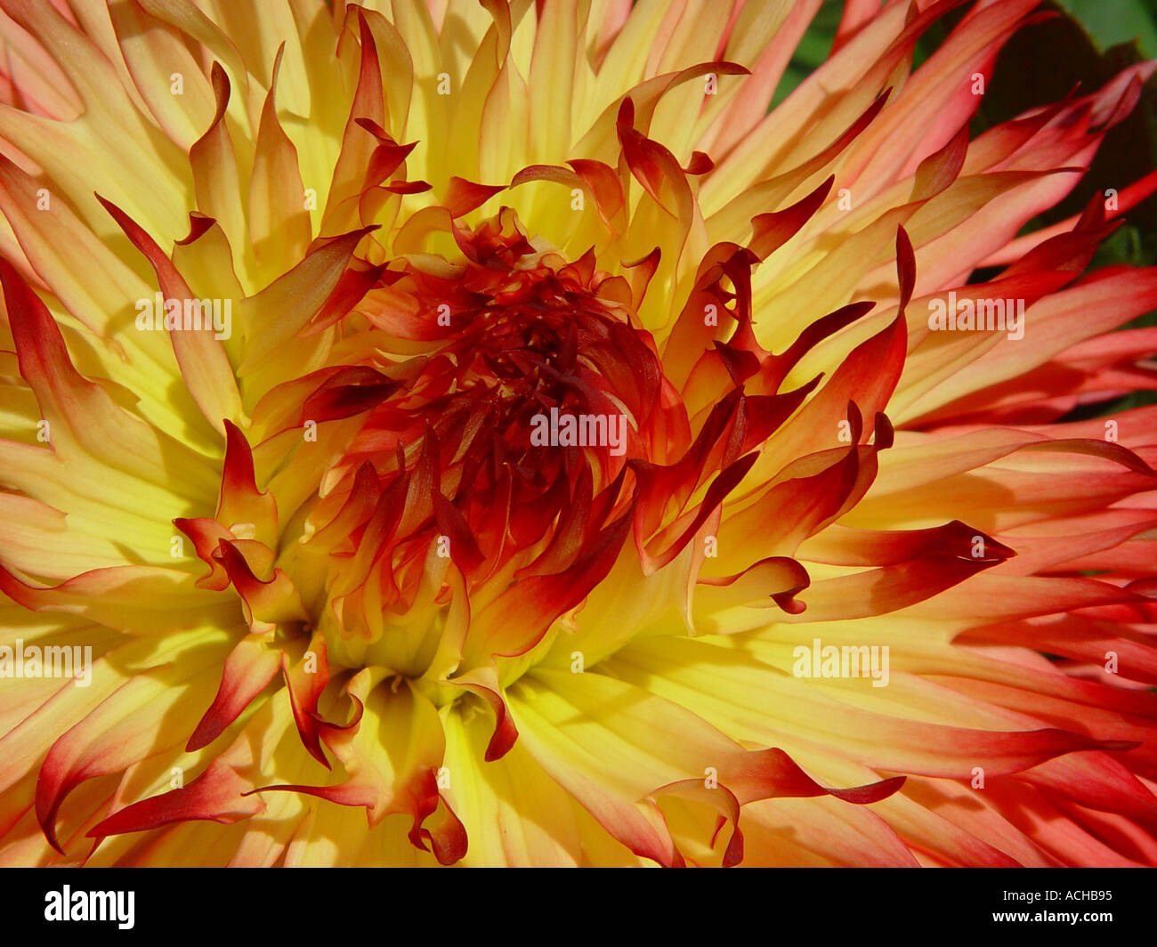 Mish mash hi-res stock photography and images - Alamy