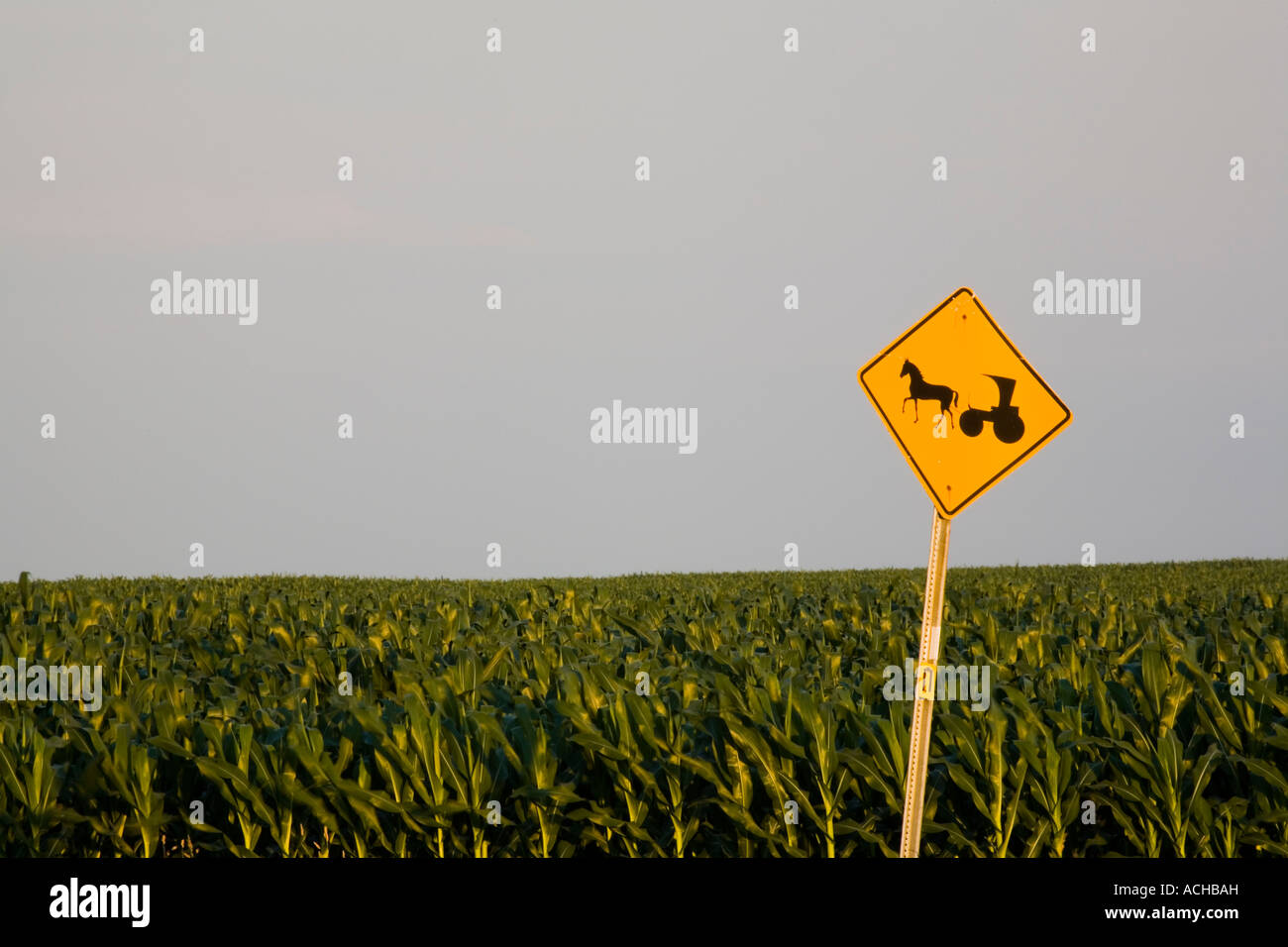 Amish country sign for horse and buggy cornfield Stone Arabia New York ...