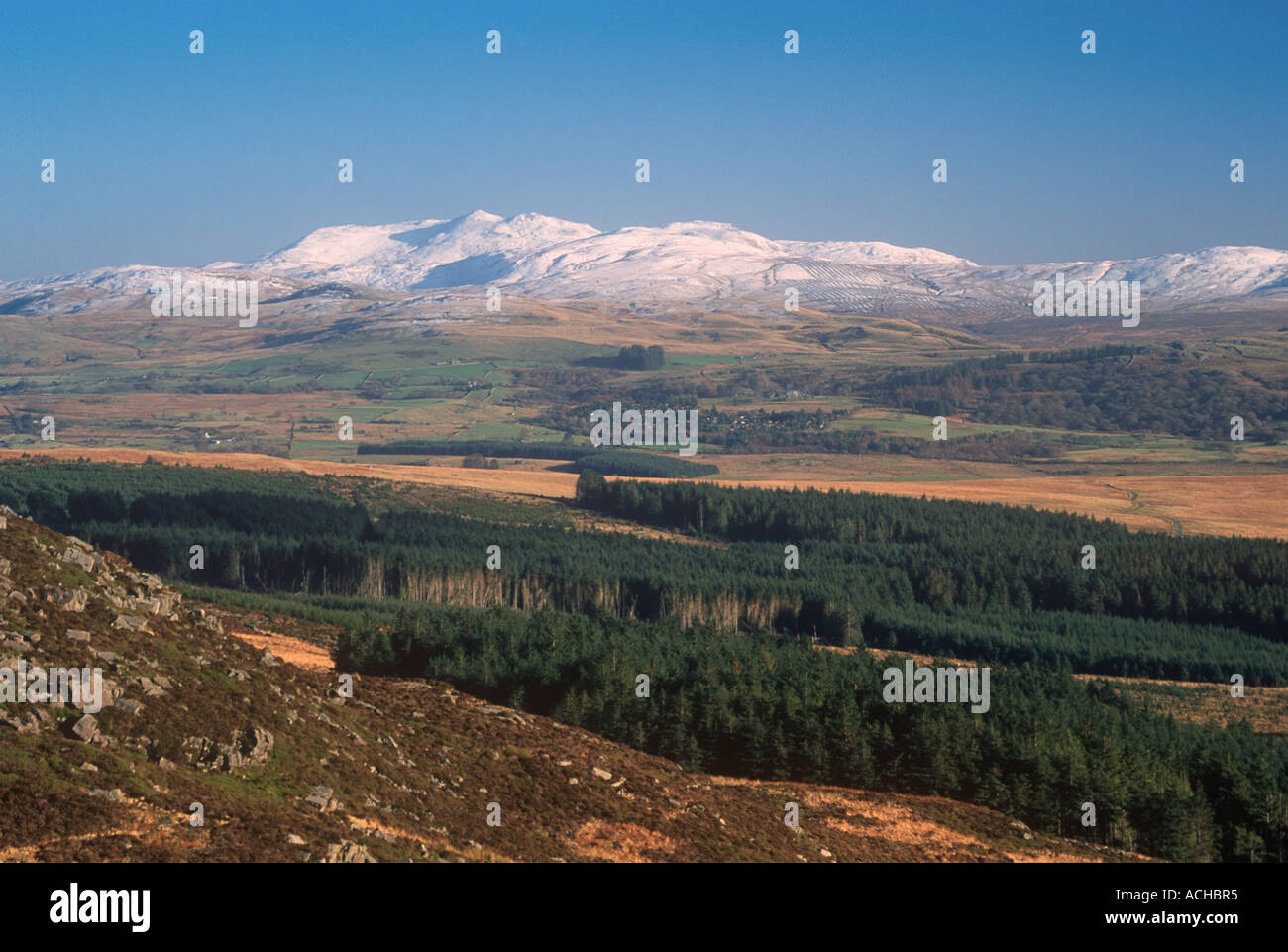 Arenig Fawr and Coed y Brenin Forest Snowdonia North West Wales Stock ...