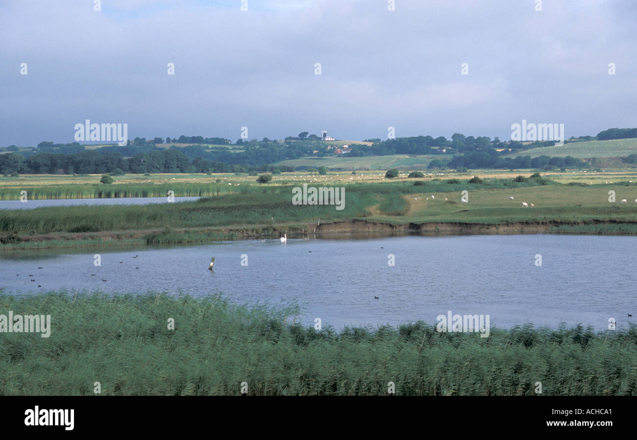 Ponds on Pett Level Stock Photo - Alamy