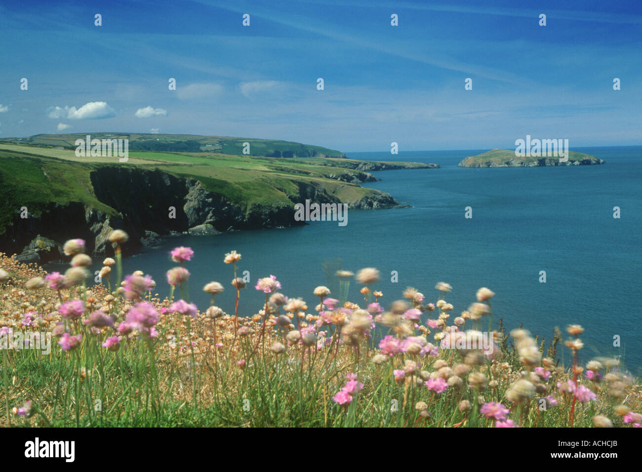Cardigan Island from Mwnt Headland Ceredigion West Wales Stock Photo ...