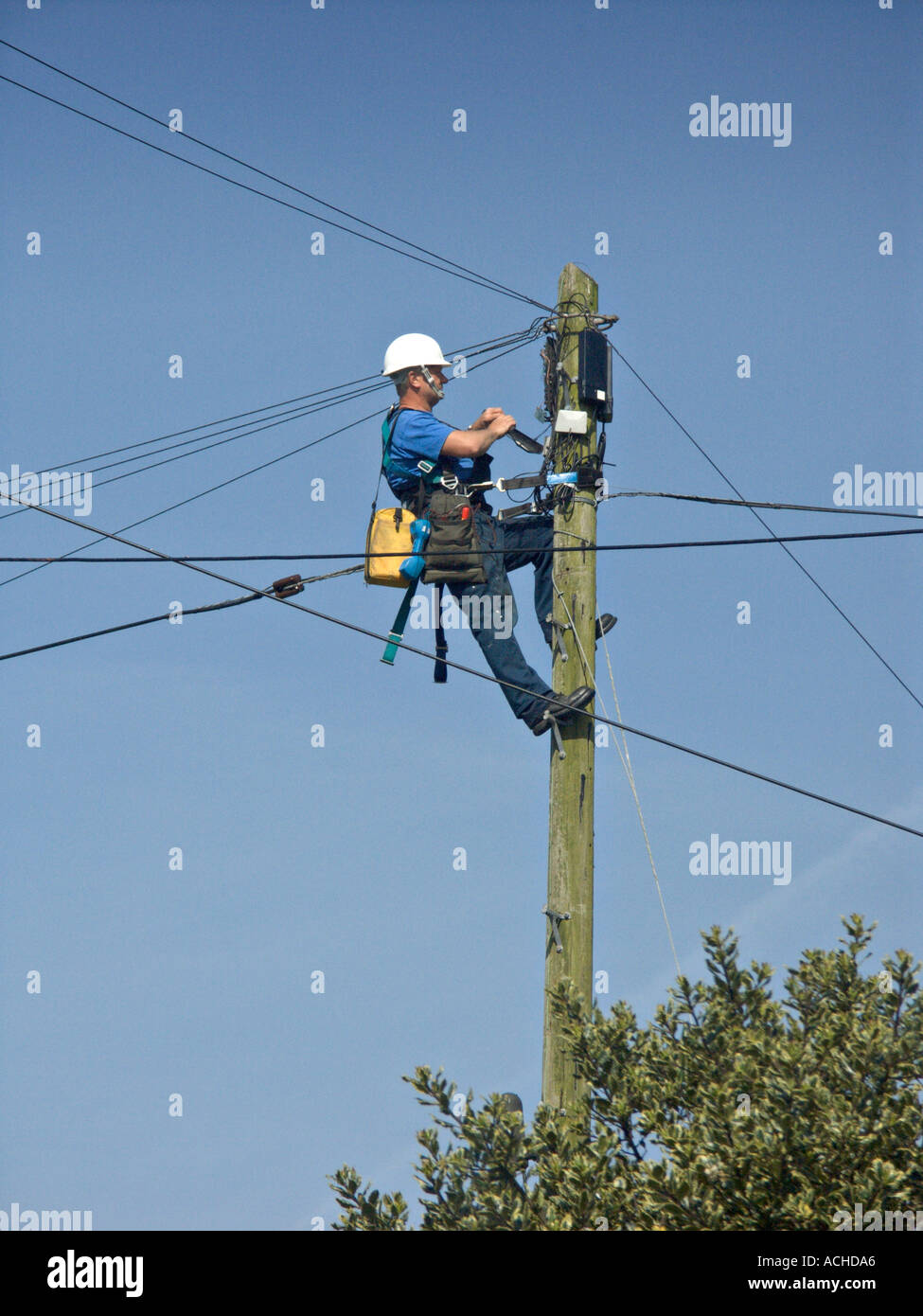 A telephone engineer working up a telegraph pole Stock Photo - Alamy