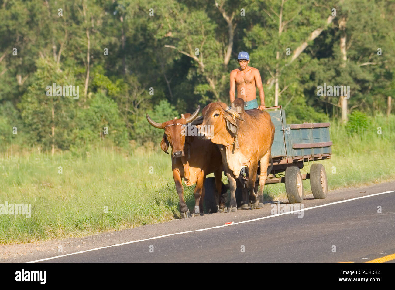 Farmer bullock cart hi-res stock photography and images - Alamy