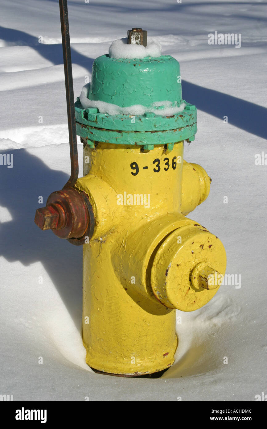 Green fire hydrant yellow hi-res stock photography and images - Alamy