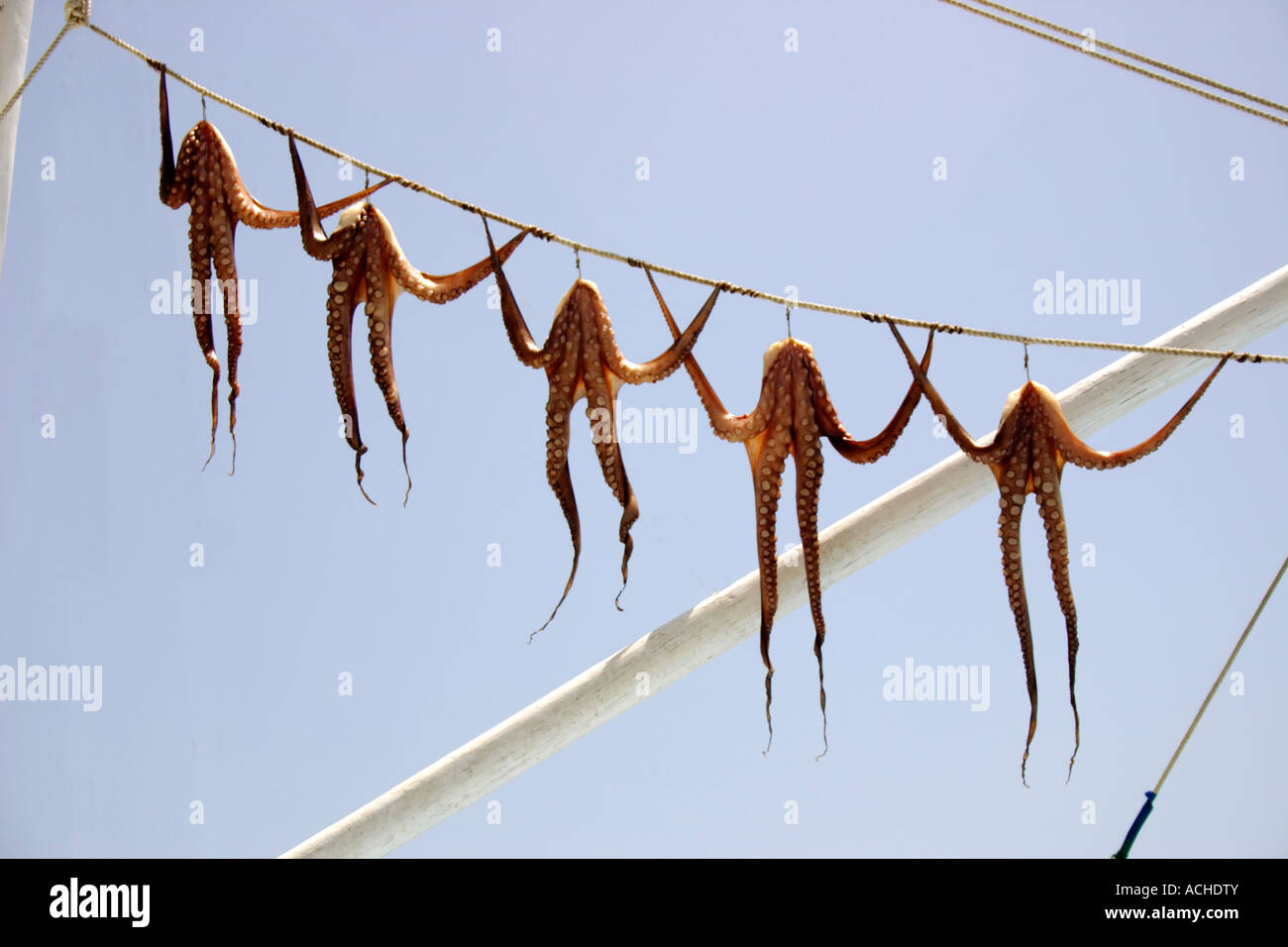 Octopus drying mykonos greece hi-res stock photography and images - Alamy