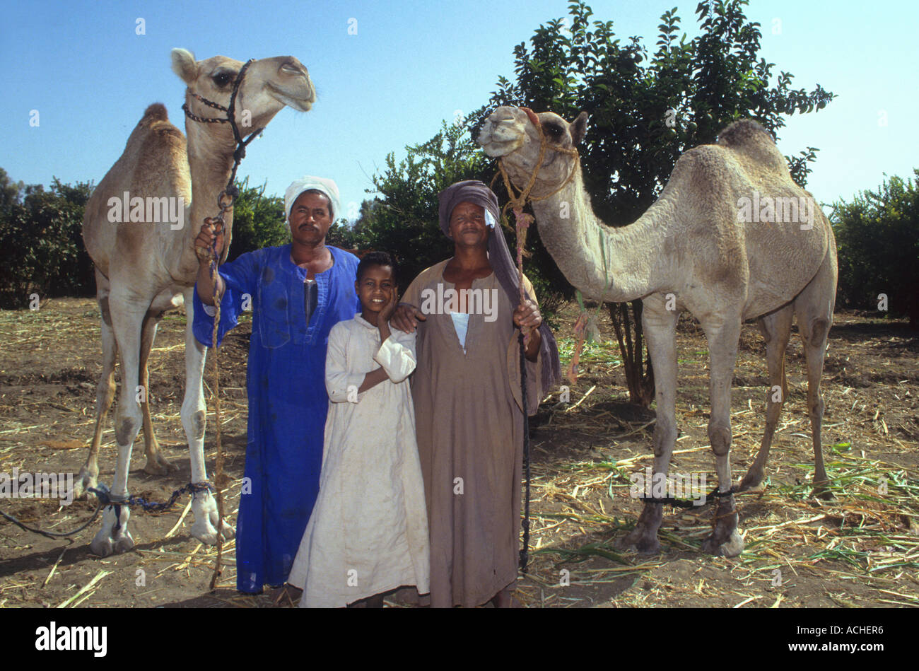 Egyptian farmers hi-res stock photography and images - Alamy
