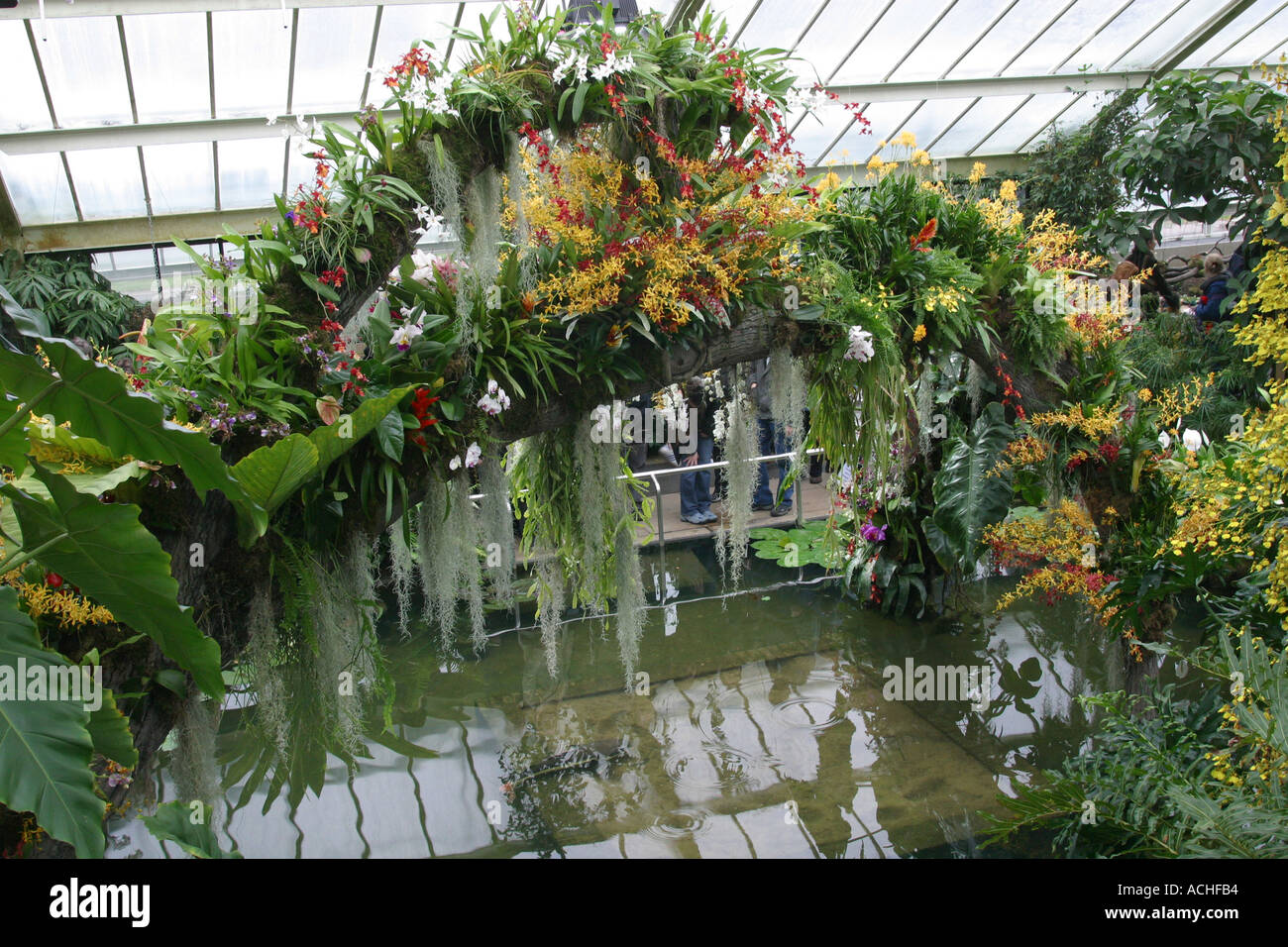 Exquisite floral display hi-res stock photography and images - Alamy