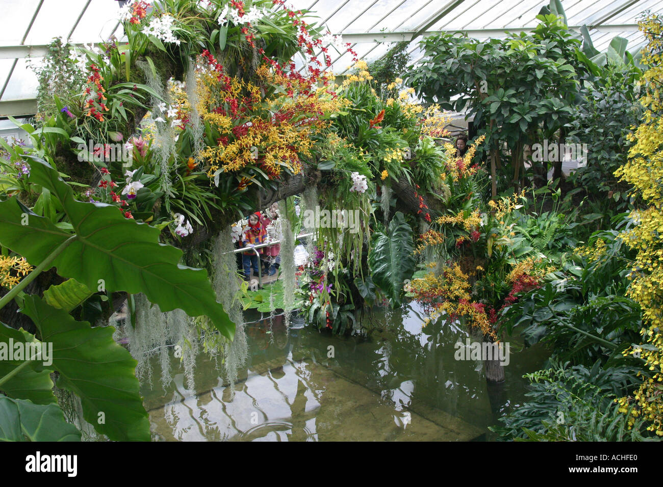 Exquisite floral display hi-res stock photography and images - Alamy