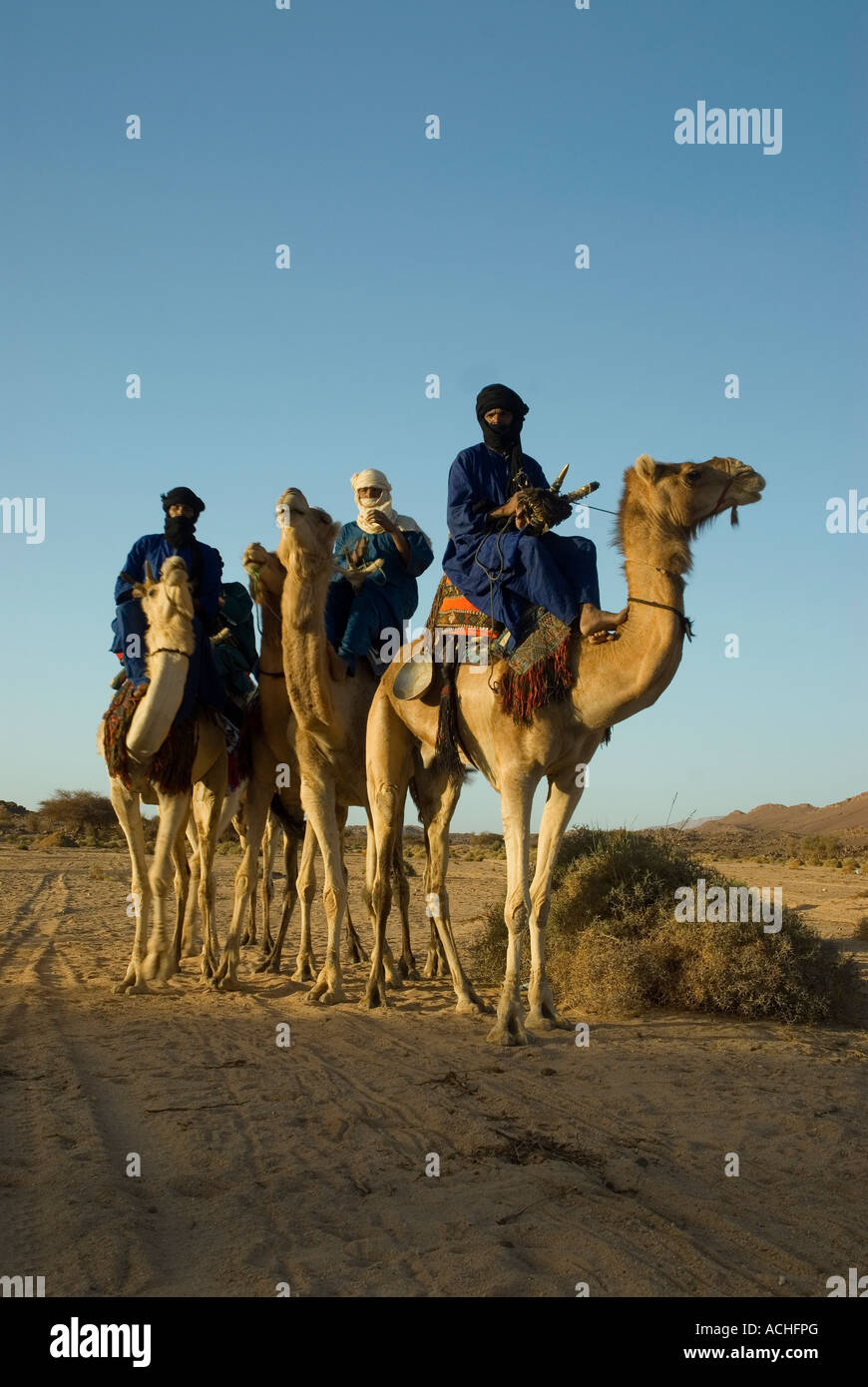 Camel warriors hi-res stock photography and images - Alamy