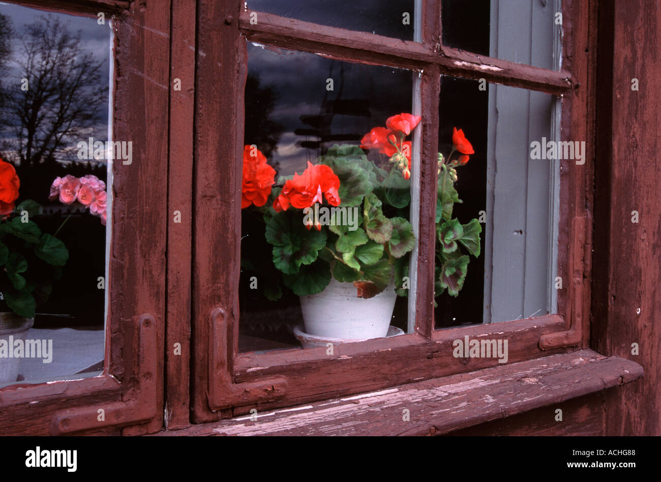Window transom and mullion hi-res stock photography and images - Alamy