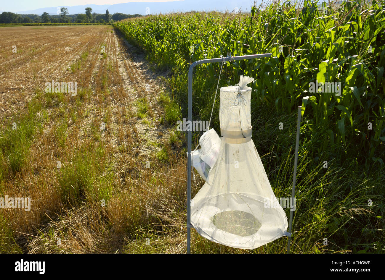 Insect sampling hi-res stock photography and images - Alamy