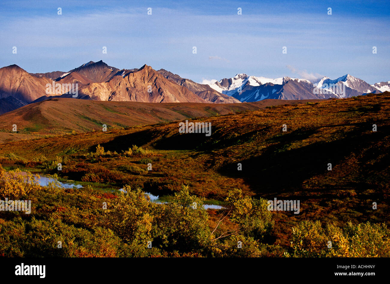 Denali nationalpark hi-res stock photography and images - Alamy