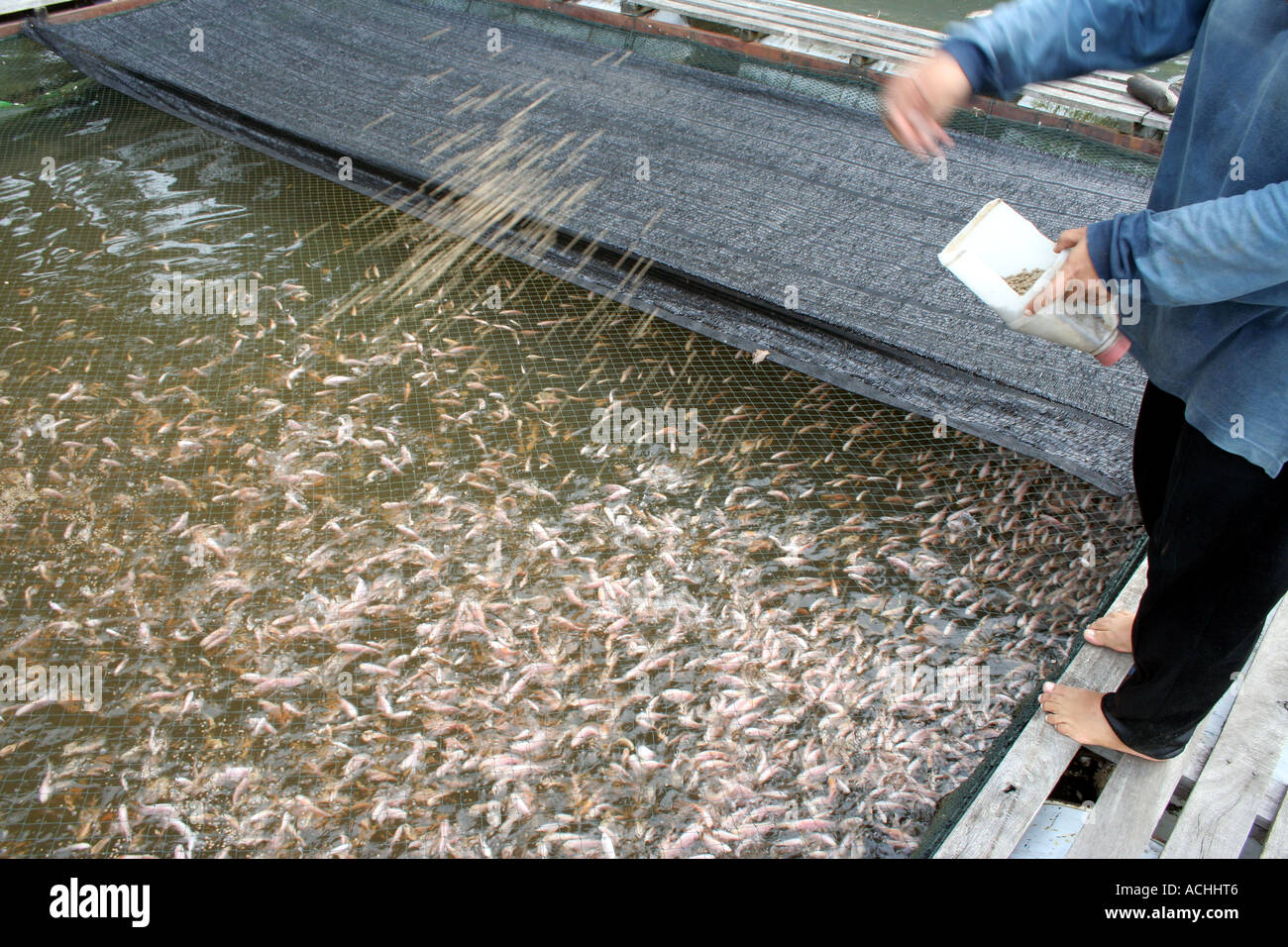 Motion fishes hi-res stock photography and images - Alamy