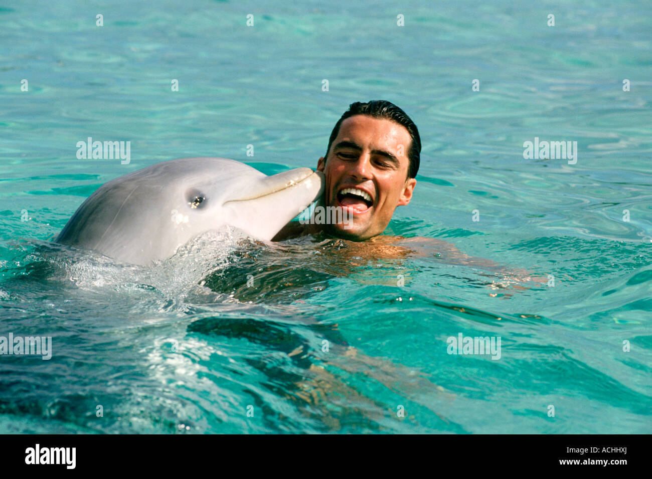 Man smiling in green sea dolphin next to him Stock Photo - Alamy