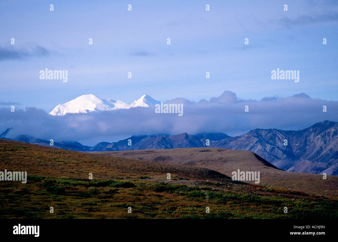 Denali berg hi-res stock photography and images - Alamy