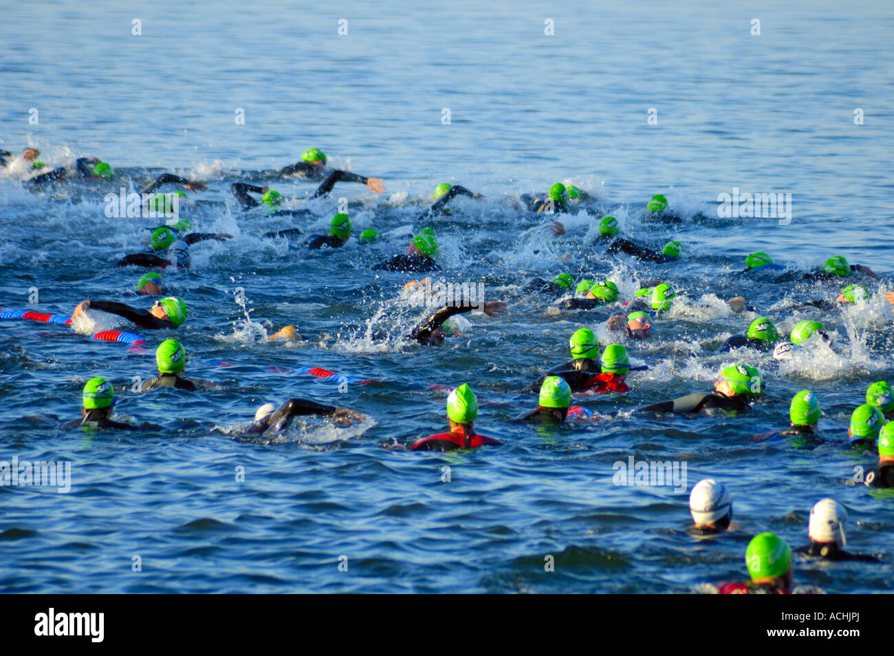 The start of the swimming section of a triathlon race, taken from ...