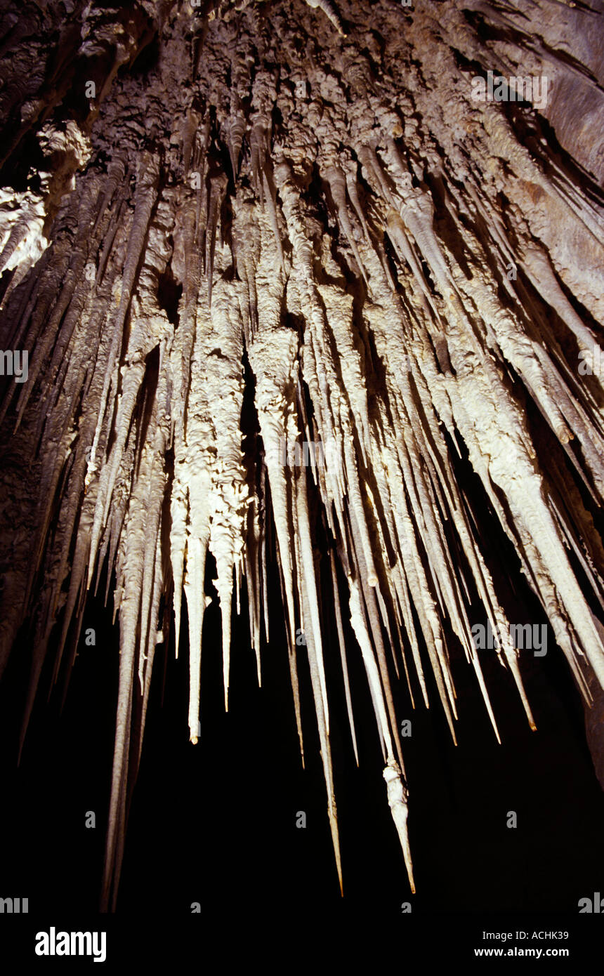 Bat cave africa hi-res stock photography and images - Alamy