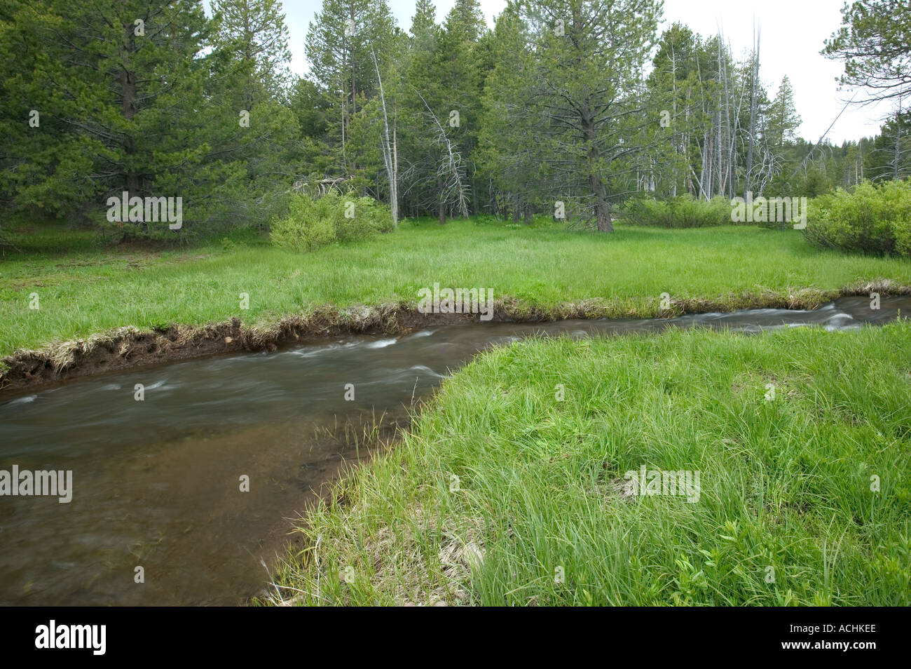 Sagehen creek hi-res stock photography and images - Alamy