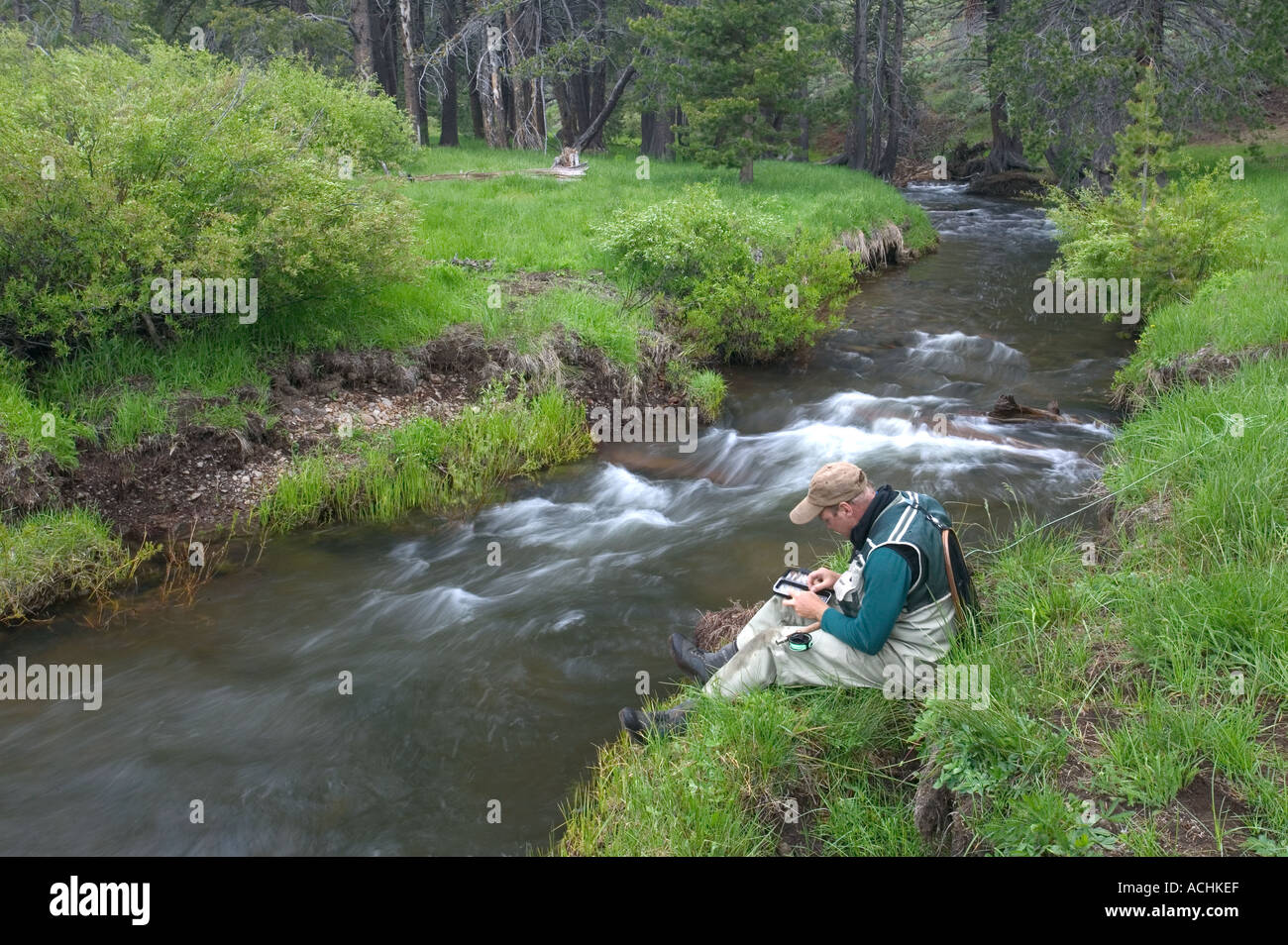 Angler selecting fly on small trout stream Model Released Image Stock ...