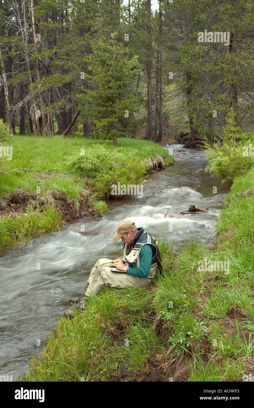 Man trout fishing model released hi-res stock photography and images ...