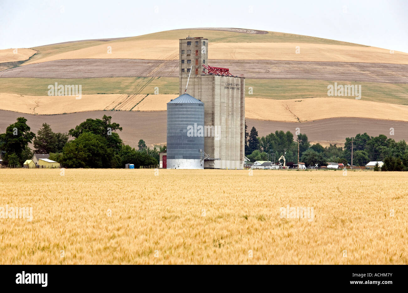 The Palouse region, in southeastern Washington Stock Photo - Alamy