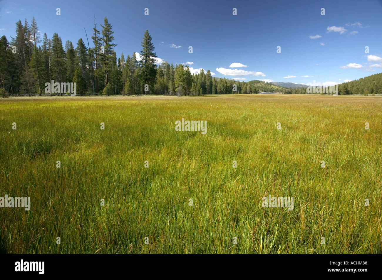 Sagehen creek hi-res stock photography and images - Alamy